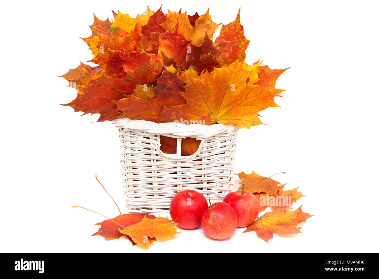 Sunny arrangement Cut Out Stock Images & Pictures - Alamy