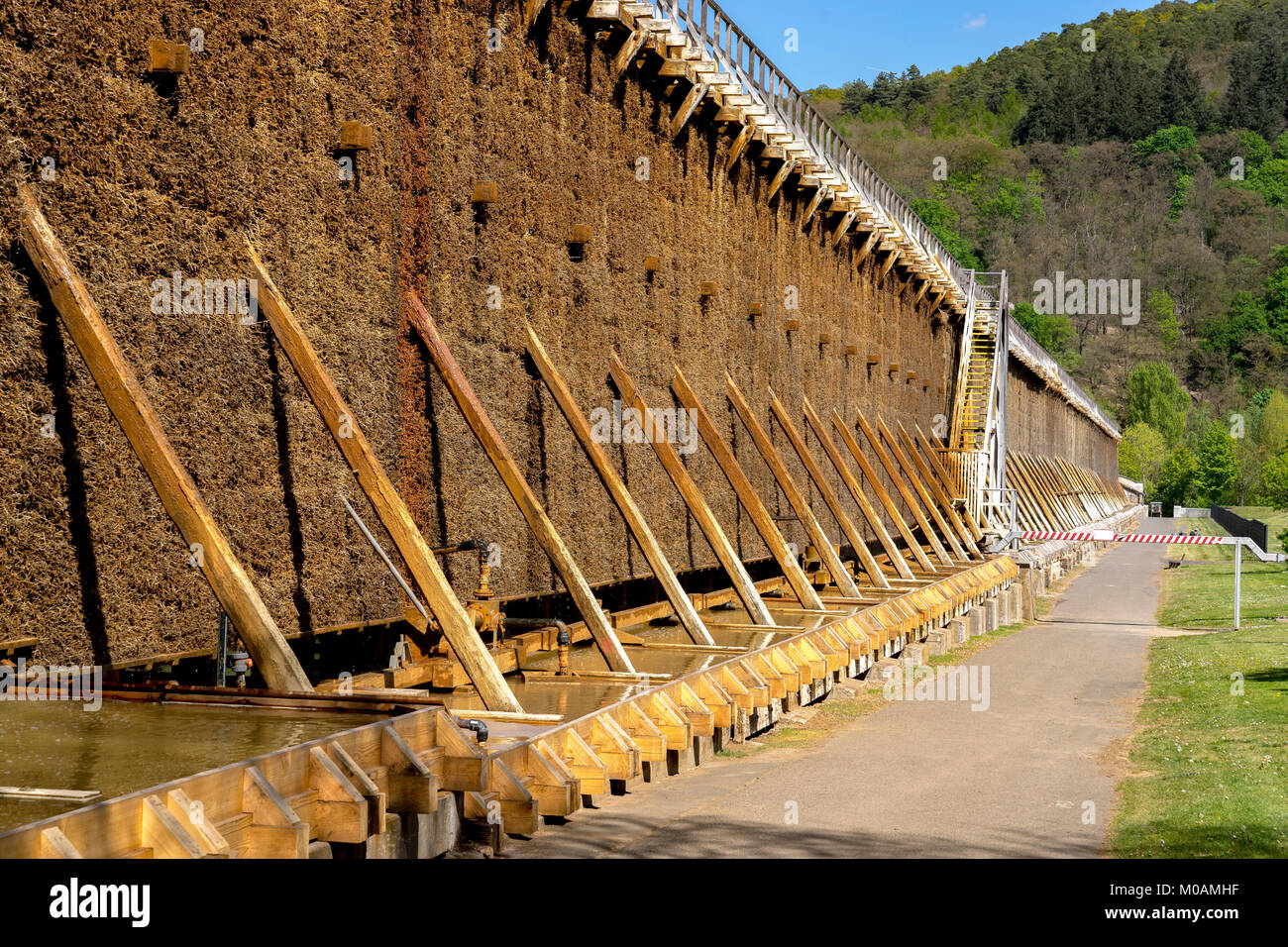 Salt production and air improvement. Europe's largest open air salt ...