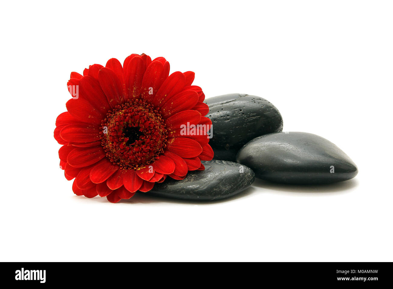 Flower pyramid flower pyramid Cut Out Stock Images & Pictures - Alamy