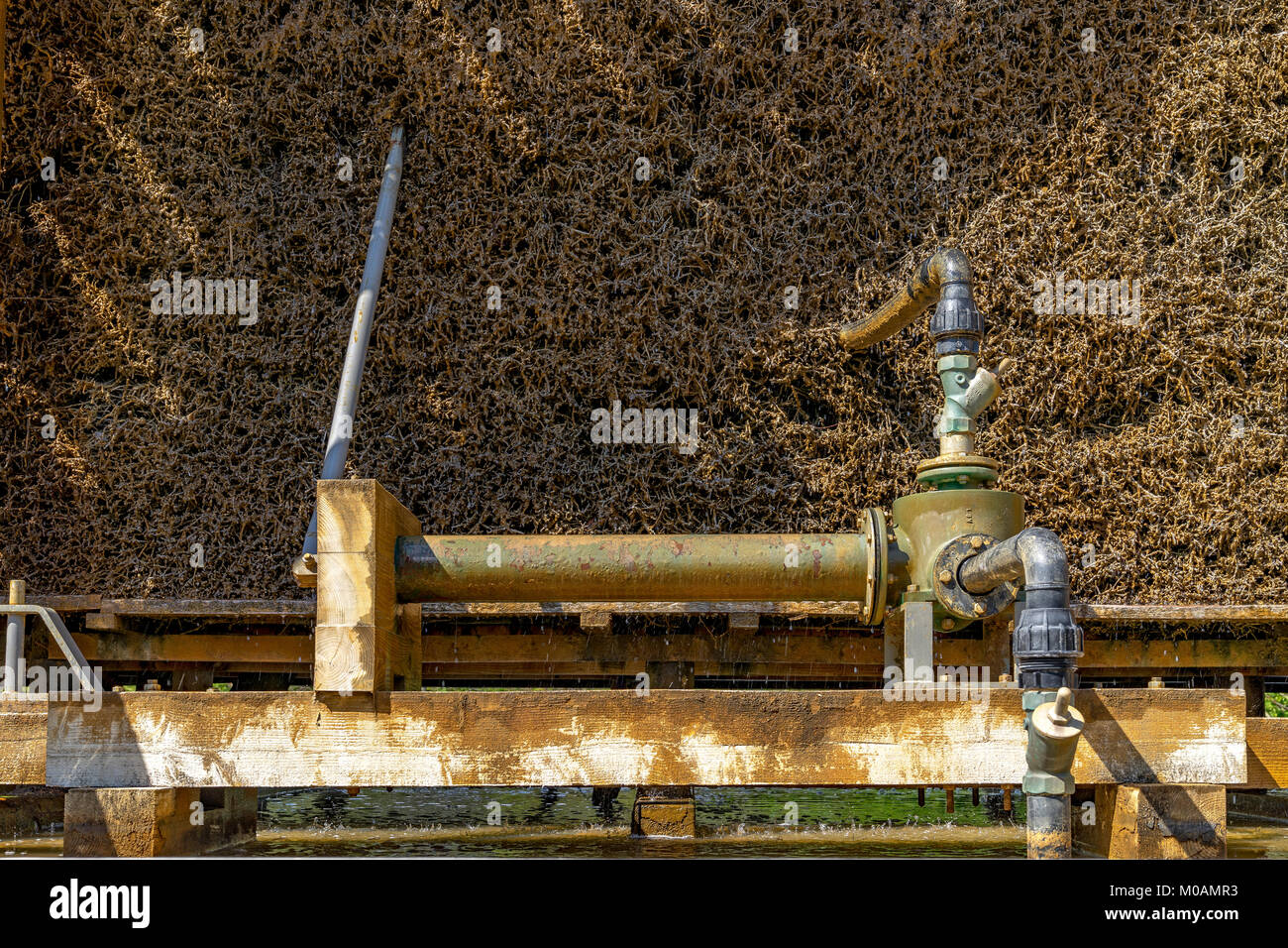 Salt production and air improvement. Europe's largest open air salt ...