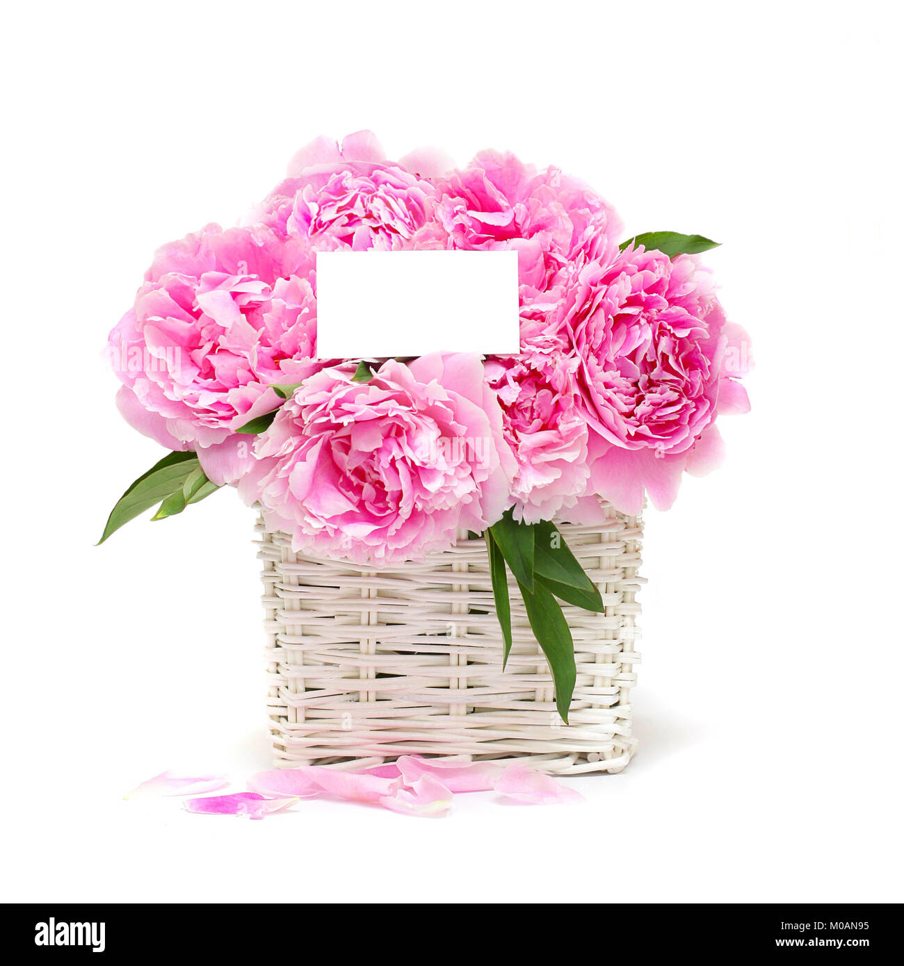 Summer gift card text Cut Out Stock Images & Pictures - Alamy