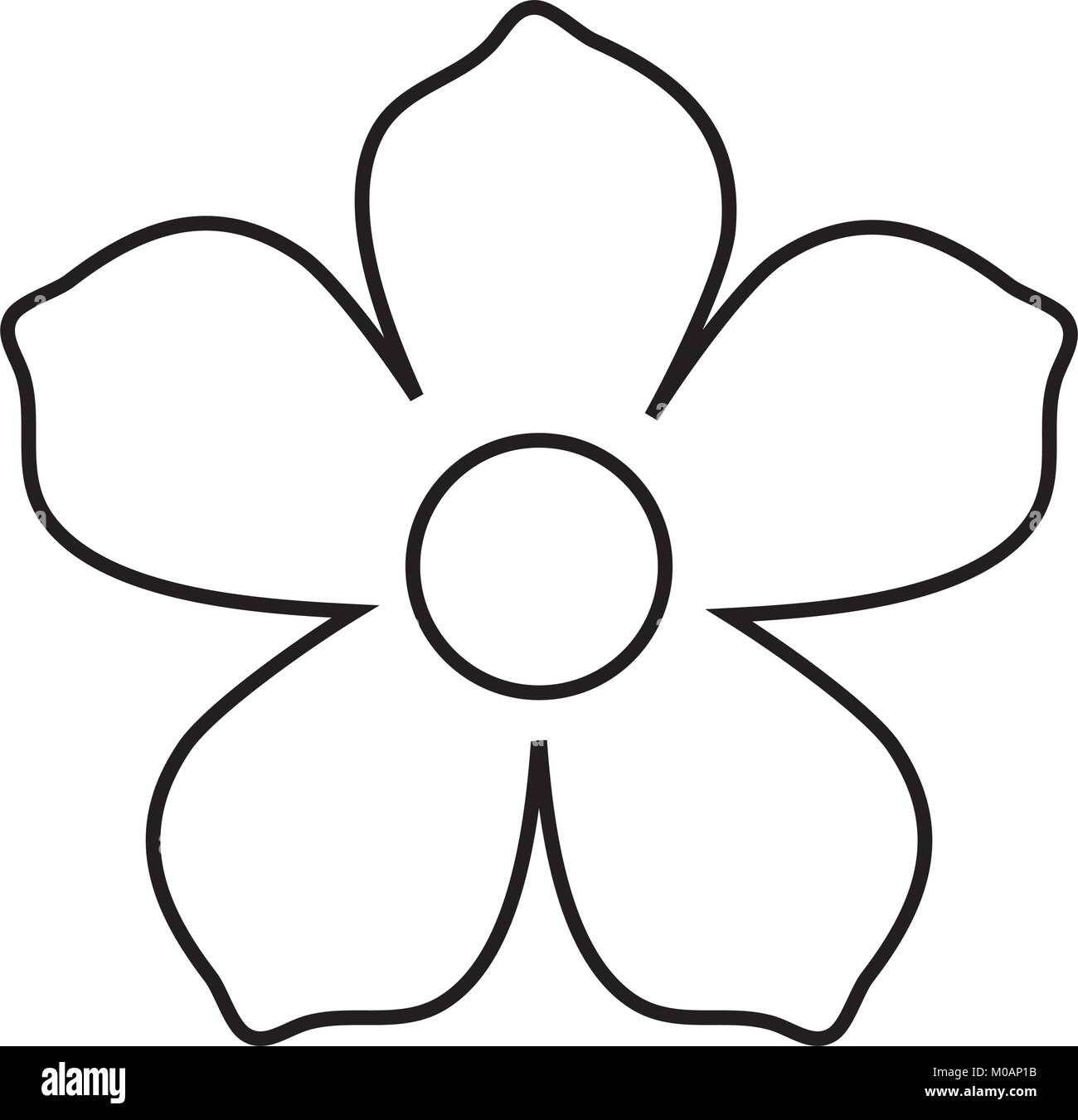 Flower Pictures To Trace