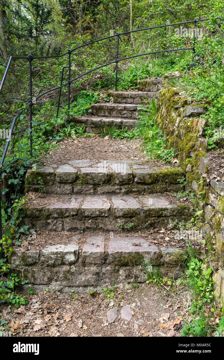 Staircases from a hiking trail Stock Photo - Alamy