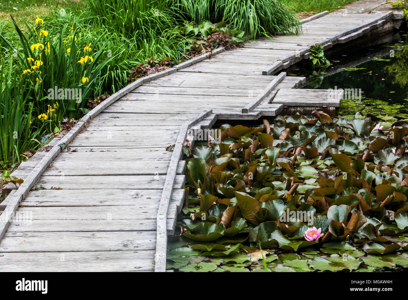 A wooden walkway around the garden pond path, Footbridge Sidewalk Stock ...