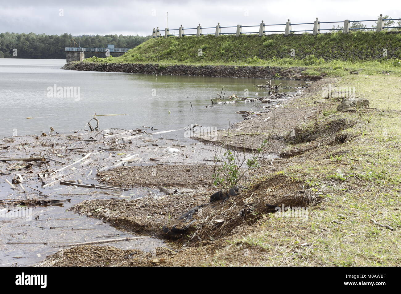 Mare aux Vacoas Mare aux Vacoas is the largest reservoir in Mauritius ...