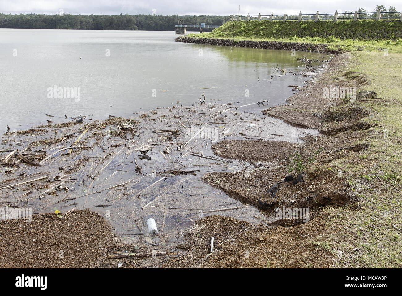 Mare aux Vacoas Mare aux Vacoas is the largest reservoir in Mauritius ...