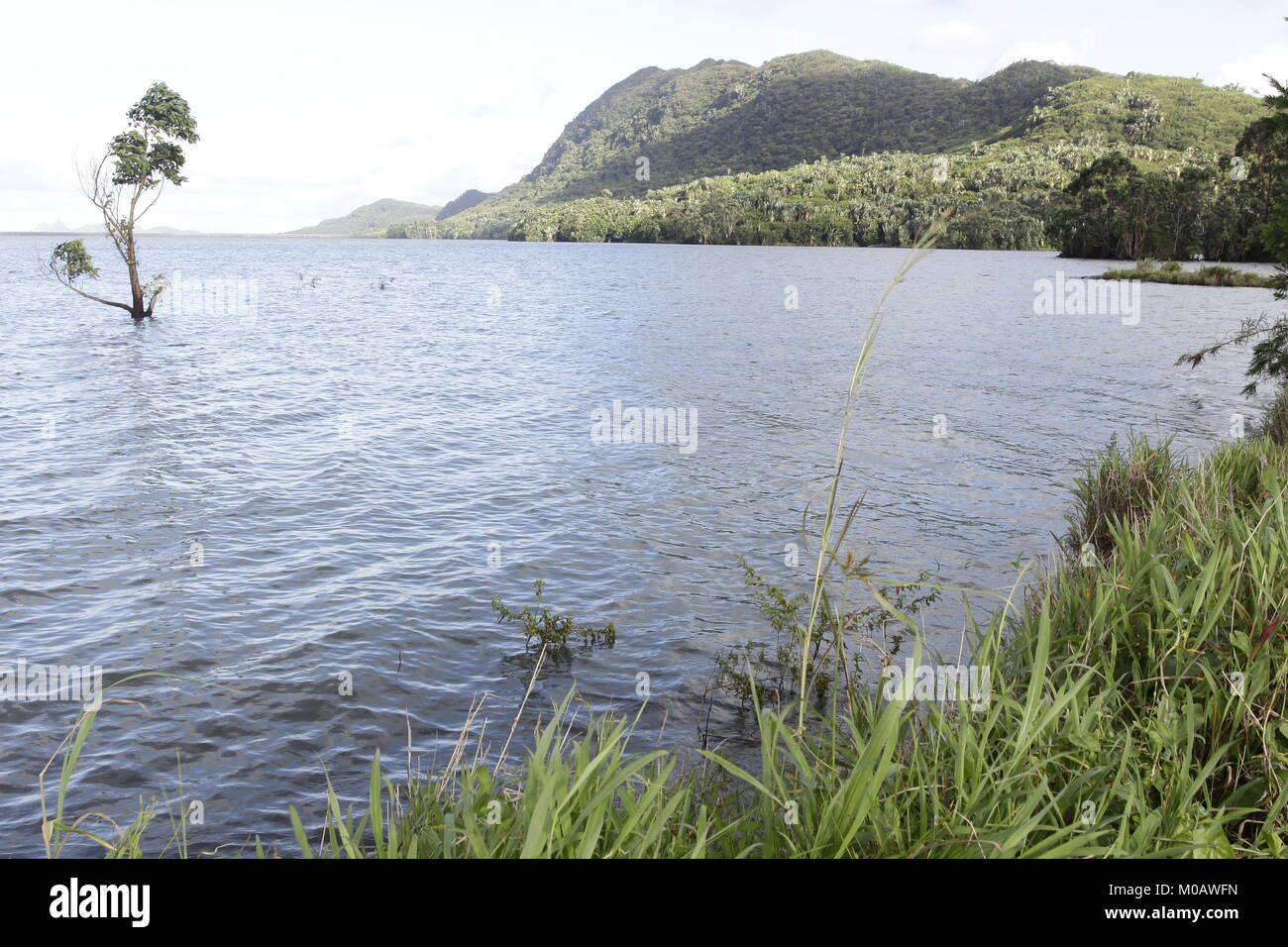 Mauritius' second largest reservoir Midlands Dam reservoir is next to ...