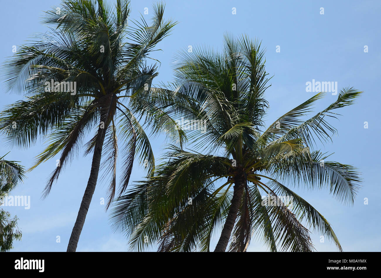 Cyclone australia north coast hi-res stock photography and images - Alamy