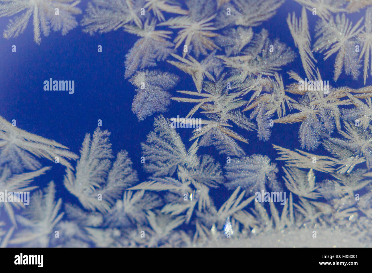 winter window close-up snow patterns on the Windows of frost, snow city ...