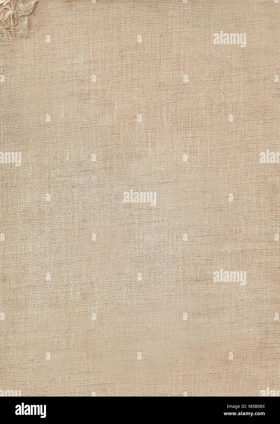 A4 size vertical blank old vintage paper Stock Photo - Alamy