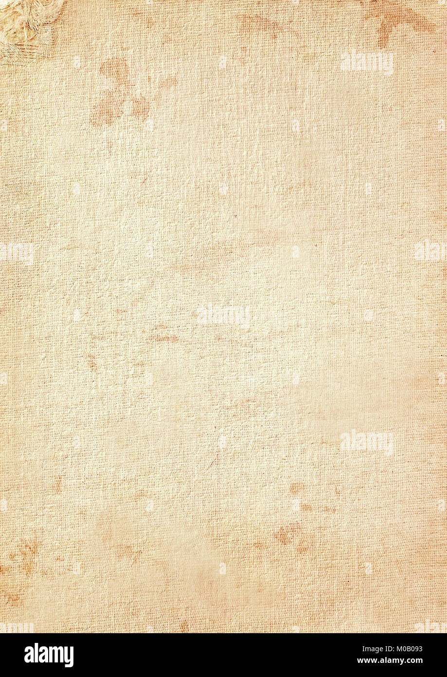 A4 size vertical blank old vintage paper Stock Photo - Alamy