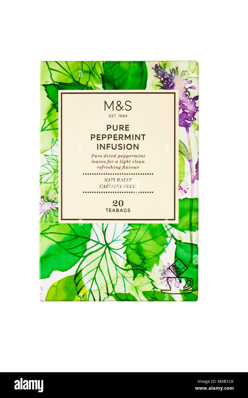 Box of M&S Pure Peppermint Infusion teabags isolated on white ...