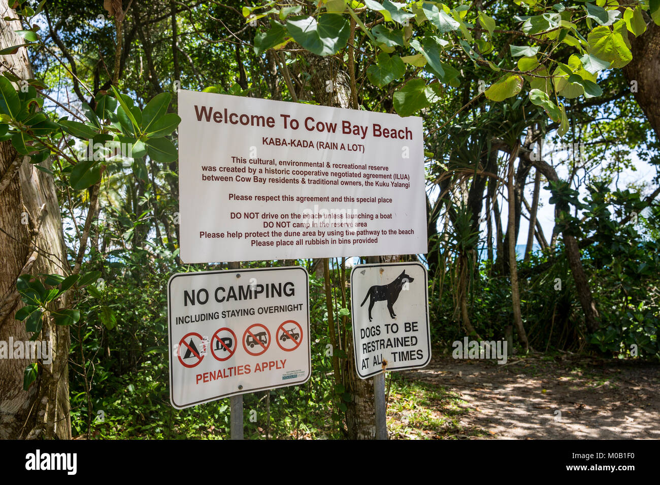 Cow Bay beach in Far north queensland tropics region,Australia Stock ...