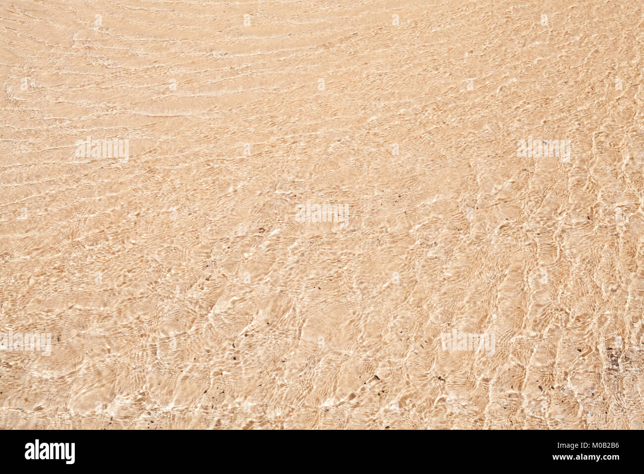 Atlantic Ocean coast background texture, sandy bottom under shallow ...