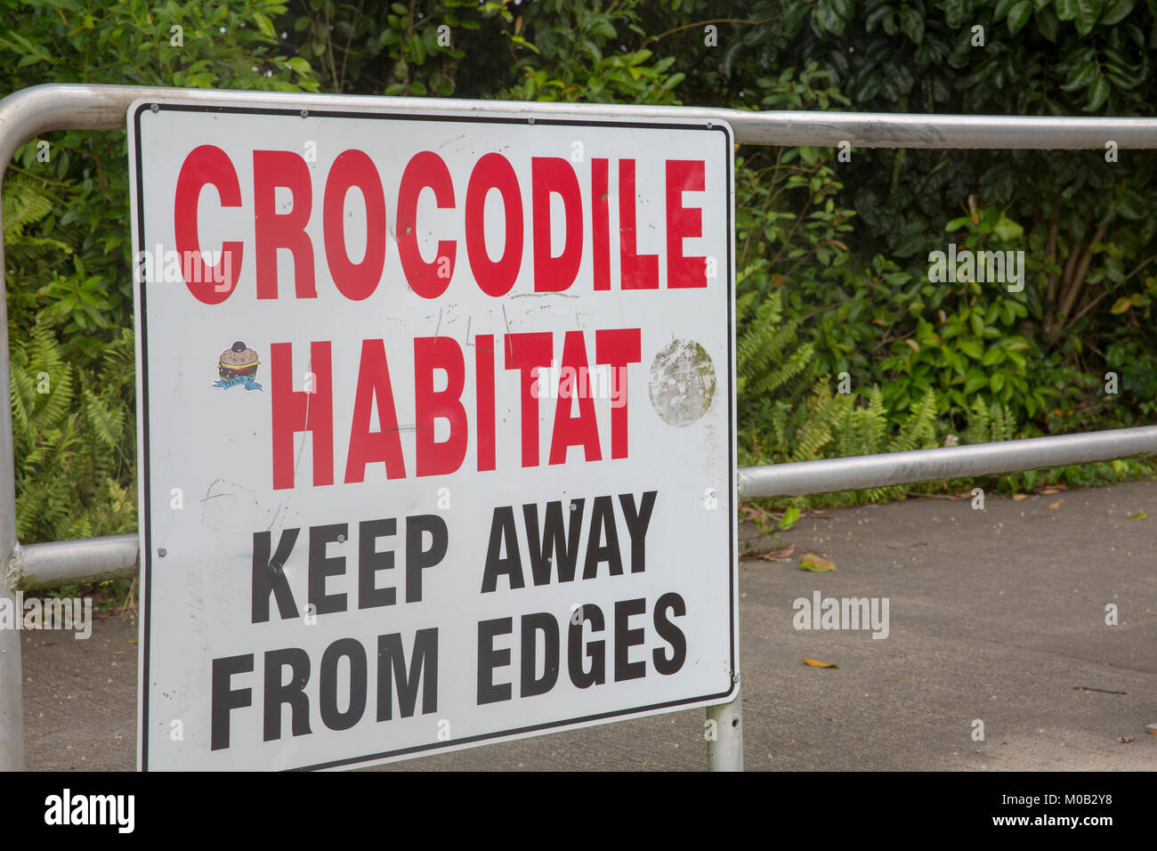 North queensland crocodiles hi-res stock photography and images - Alamy