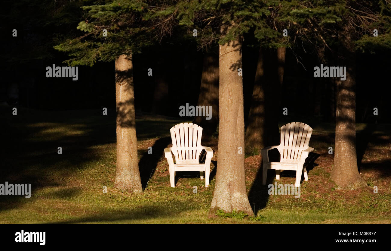 dramatic, composition, deep, forest, edge Stock Photo - Alamy