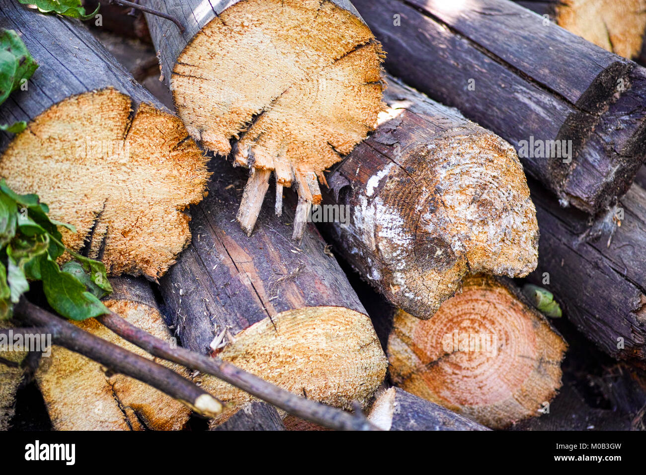 Pile of firewood logs. Close-up Stock Photo - Alamy
