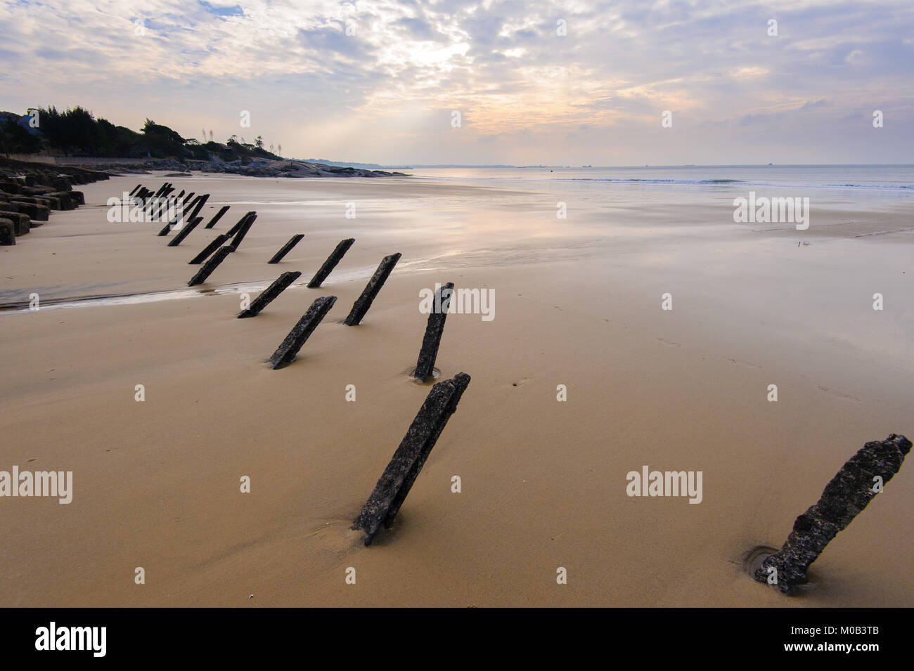 Tetrapod structure hi-res stock photography and images - Alamy