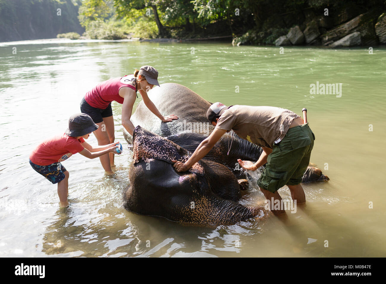 Young boy watching hi-res stock photography and images - Alamy