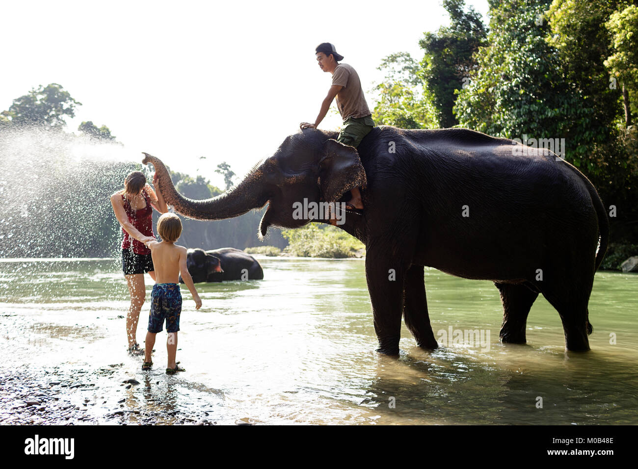 Sumatran elephant keeper hi-res stock photography and images - Alamy