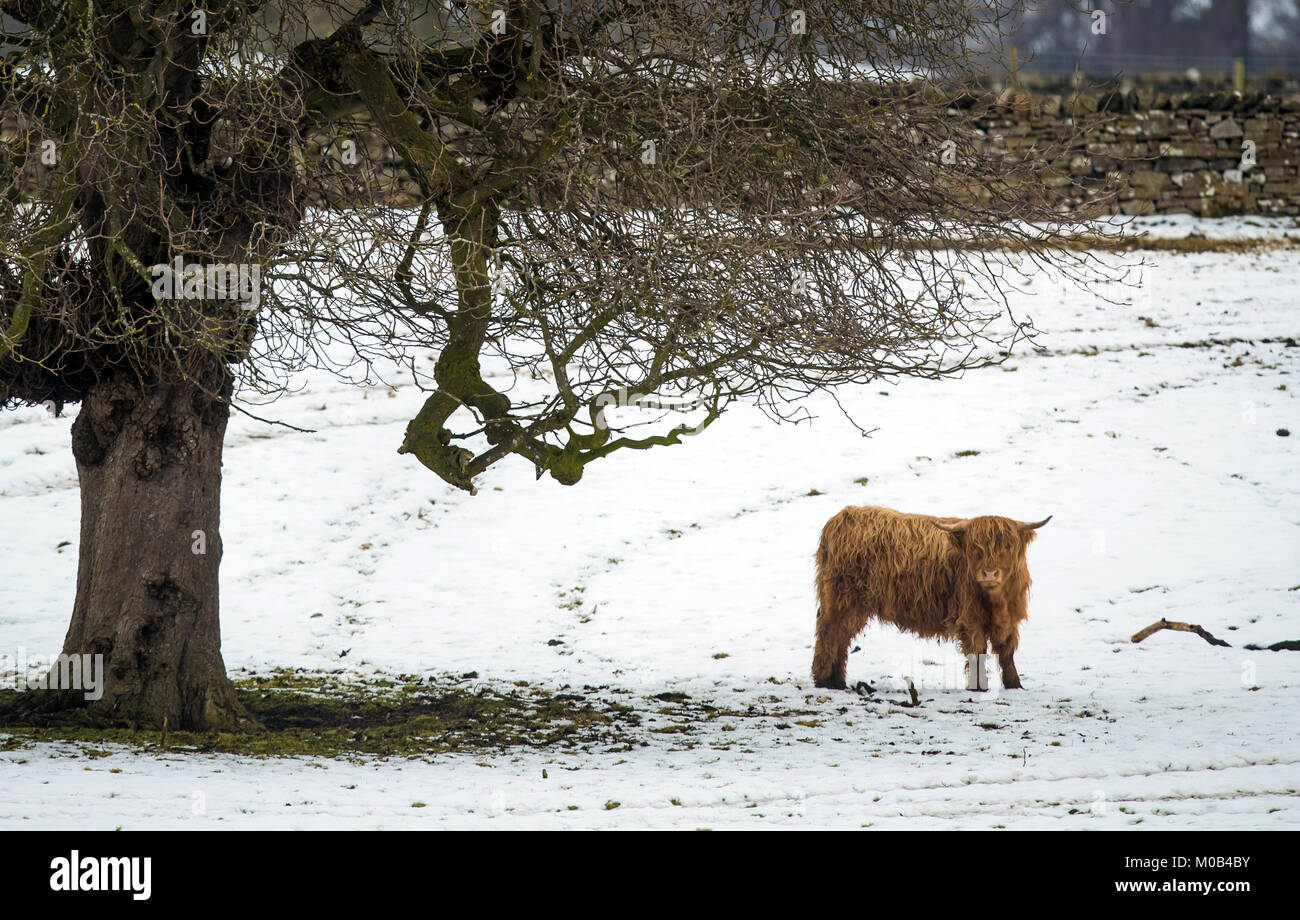 Swinithwaite High Resolution Stock Photography and Images - Alamy