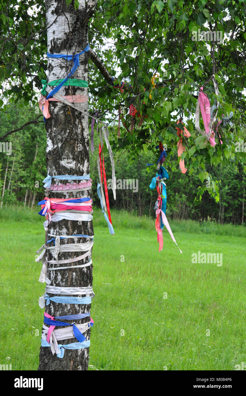Decorated birch tree hi-res stock photography and images - Alamy