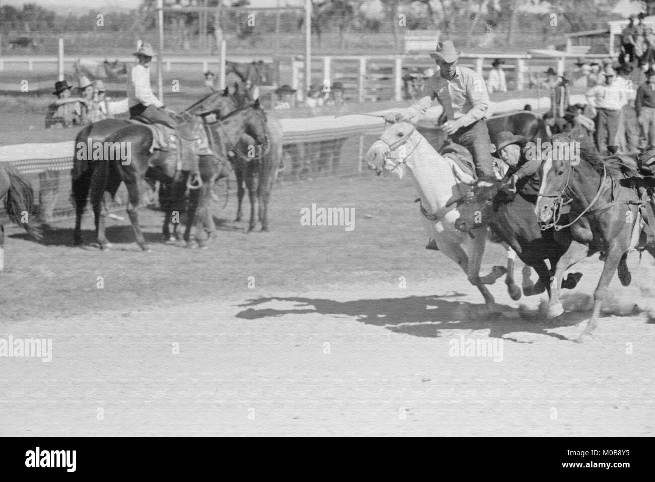 Bulldogging hi-res stock photography and images - Alamy