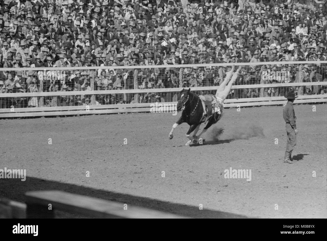 Fancy Riding Demonstration Stock Photo - Alamy
