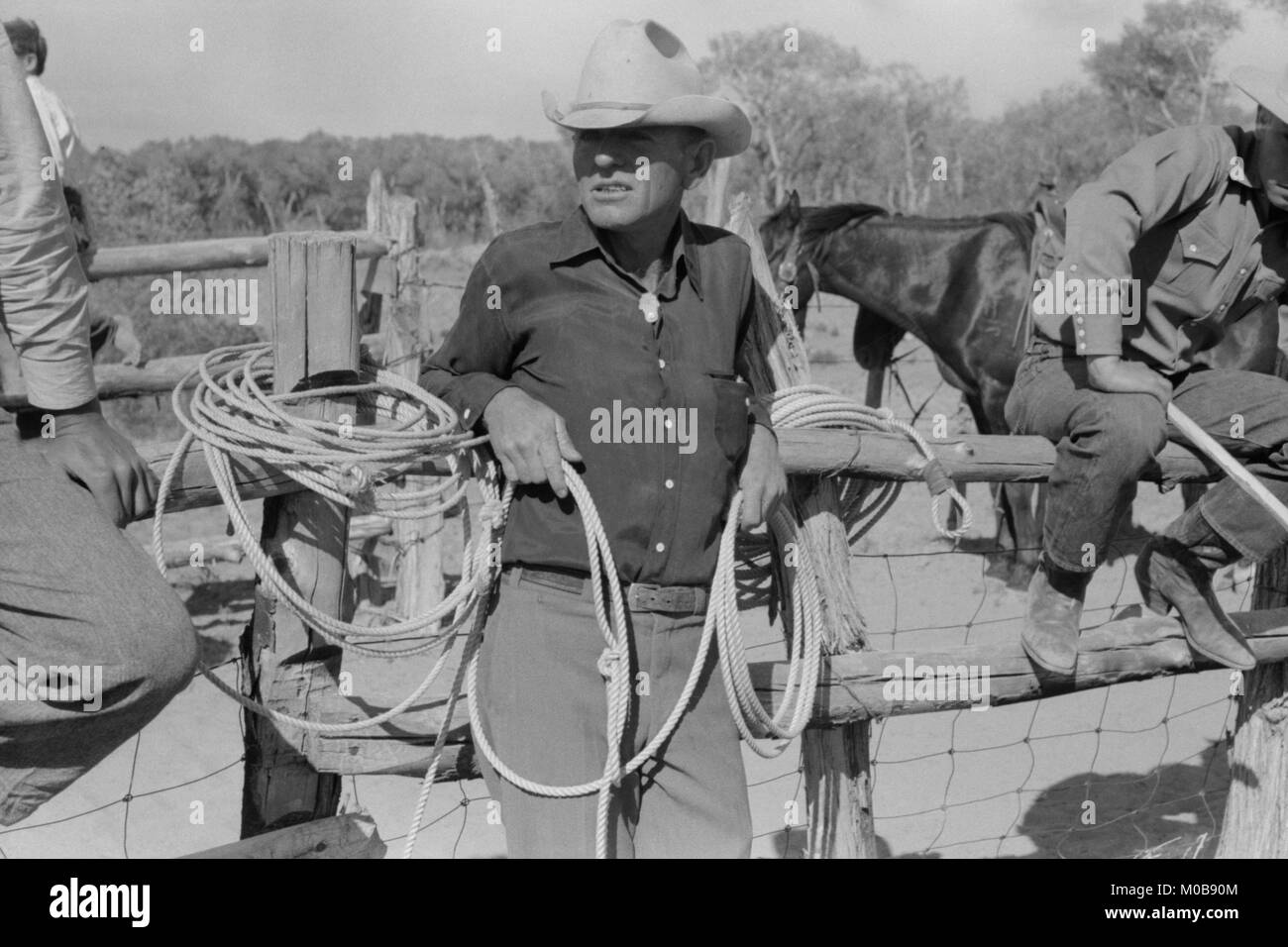 Cowboy at Rodeo Stock Photo - Alamy