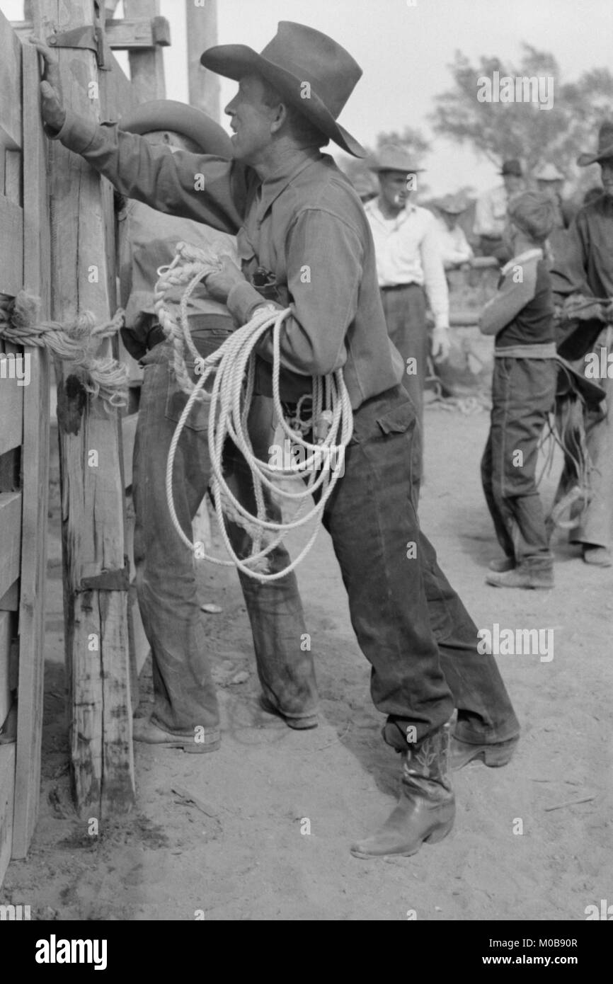 Cowboy at Rodeo Stock Photo - Alamy