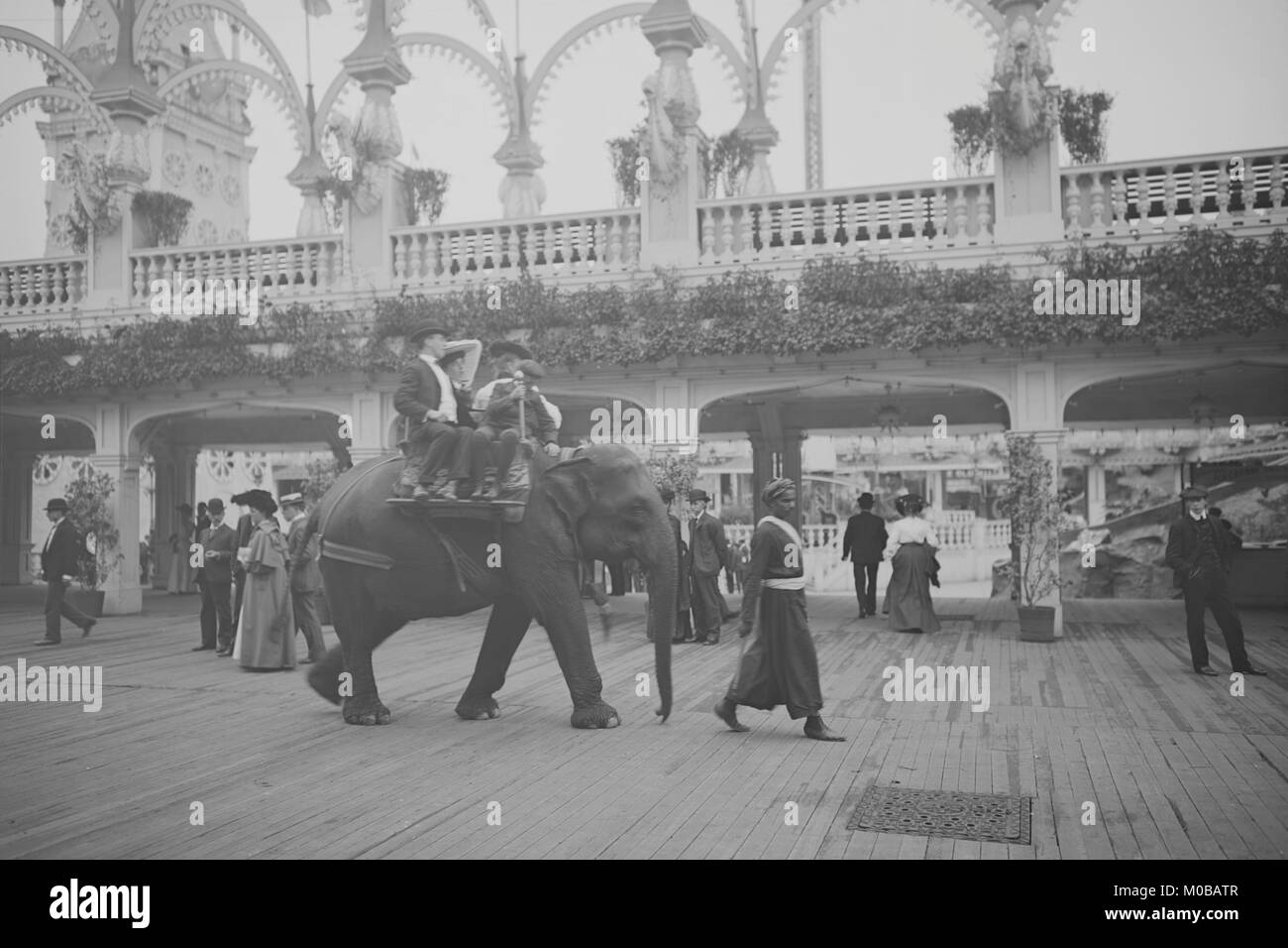 Indian garbed man guides an elephant on which two men ride, Coney ...