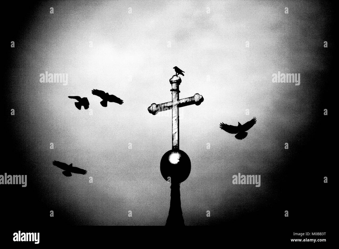 Danger death tree animal hi-res stock photography and images - Alamy