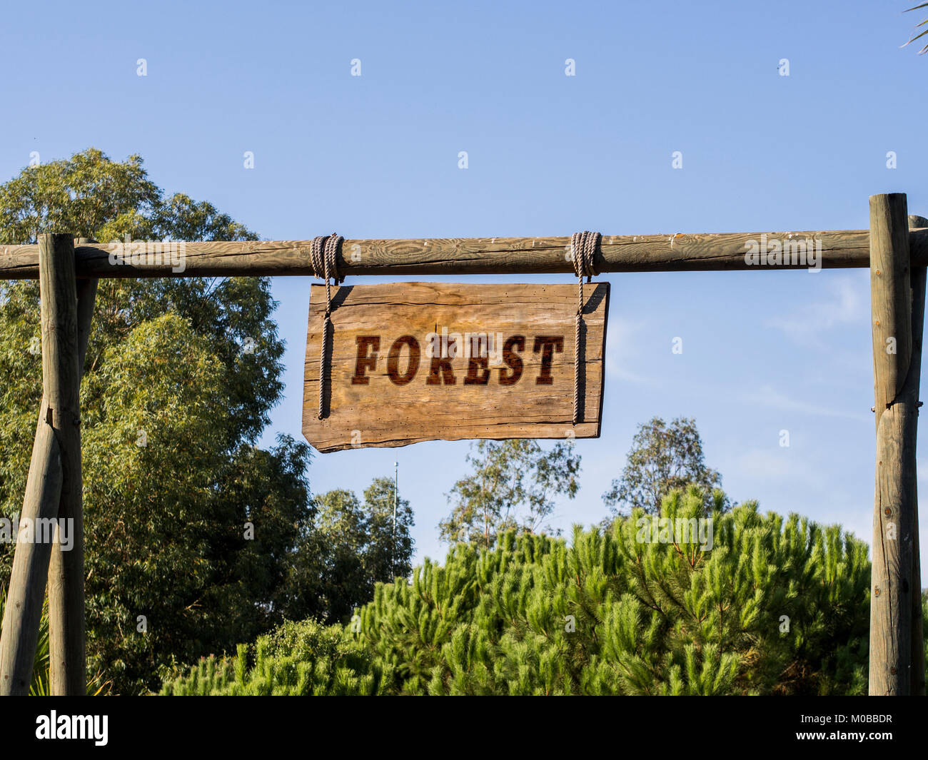 Wooden signpost vector sign texture hi-res stock photography and images ...