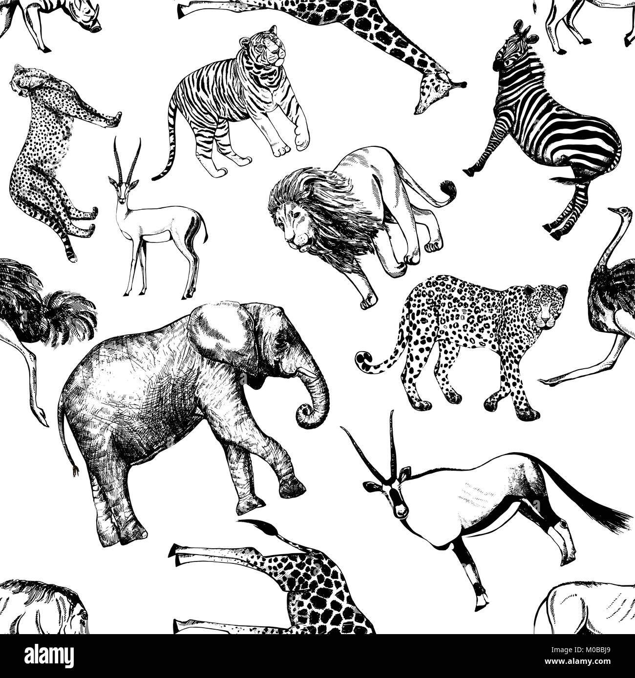 Seamless pattern of sketch style animals. Vector illustration isolated ...