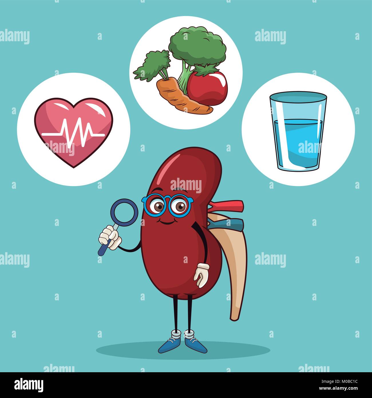 World kidney day cartoon Stock Vector Image & Art - Alamy