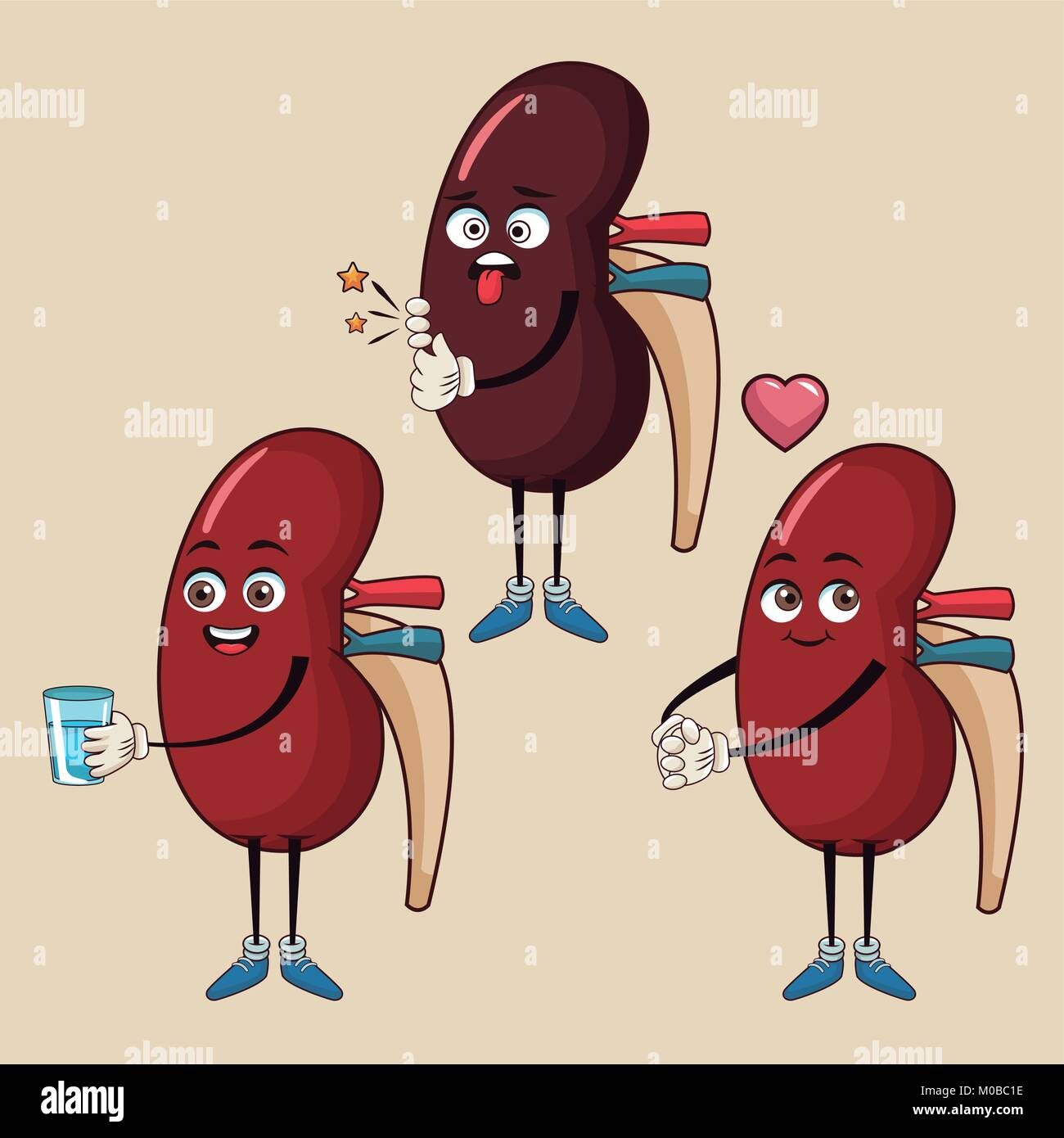 World kidney day cartoon Stock Vector Image & Art - Alamy