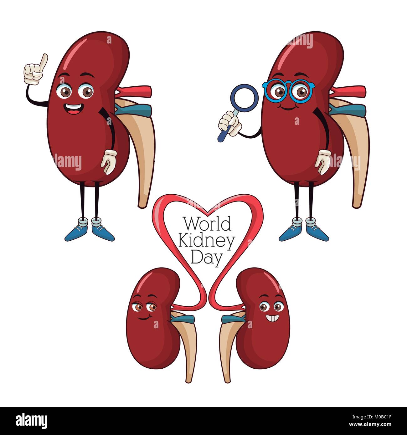 Kidney smile hi-res stock photography and images - Alamy