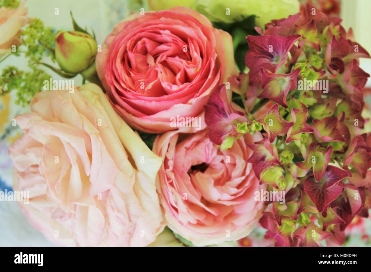 Bouquet of roses and hydrangeas Stock Photo - Alamy