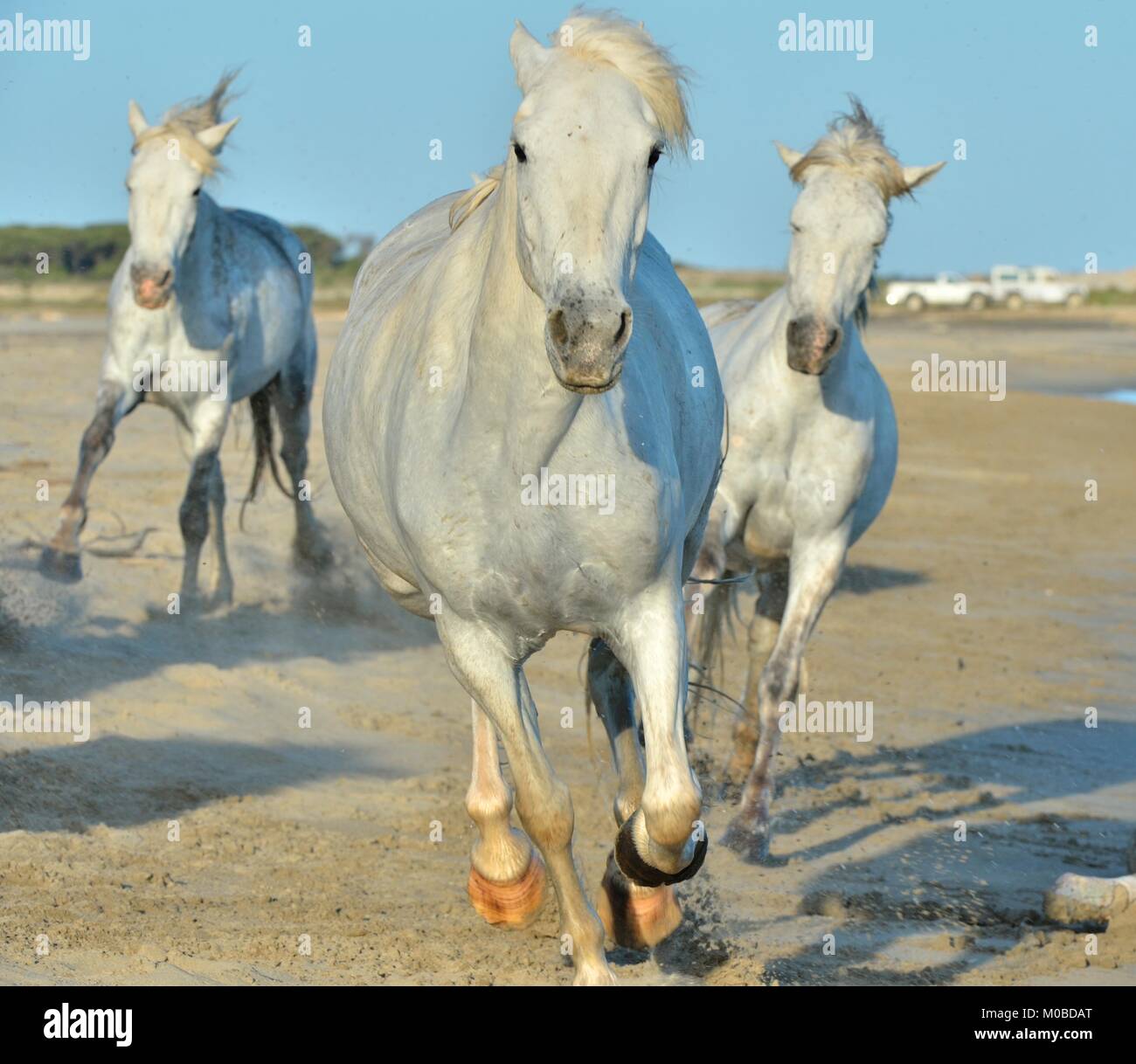 Running through water splash hi-res stock photography and images - Alamy