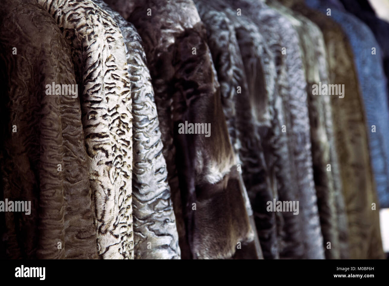 Astrakhan coat hi-res stock photography and images - Alamy