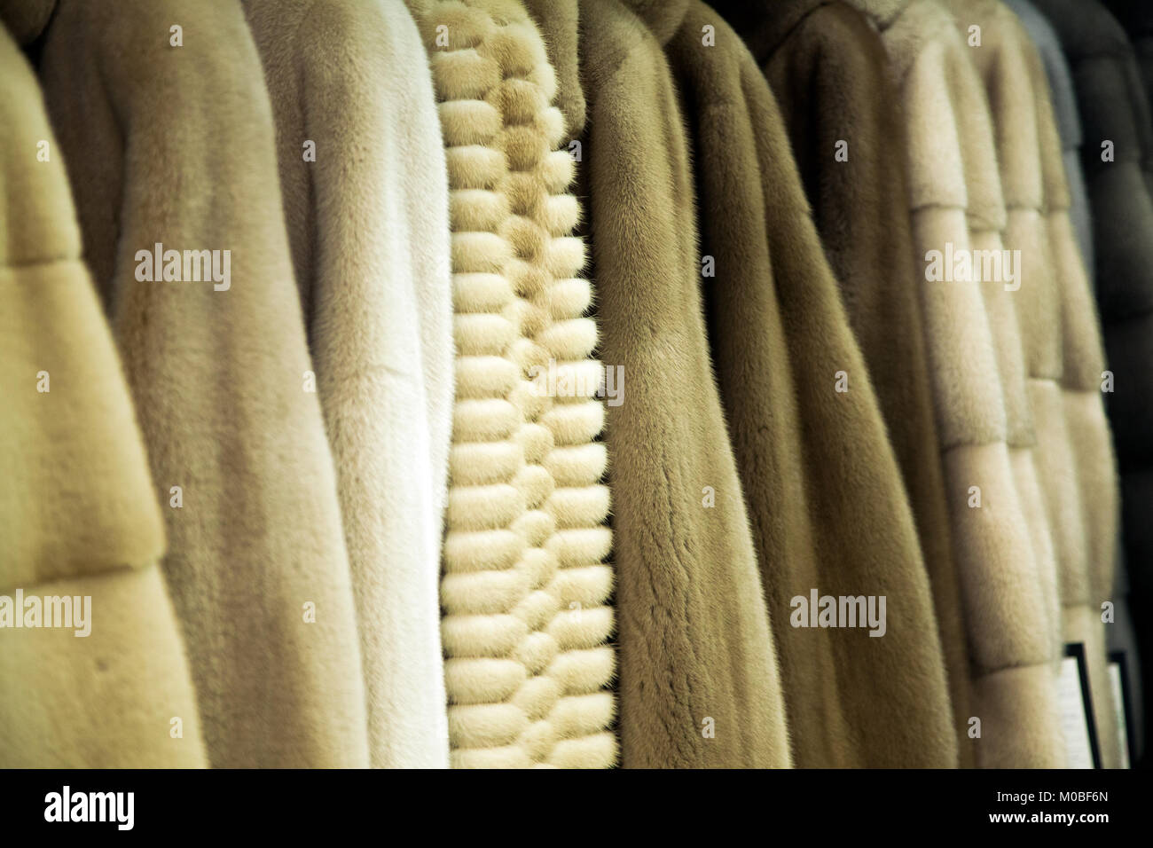 A close-up of the fur coat from natural mink fur of different colors ...