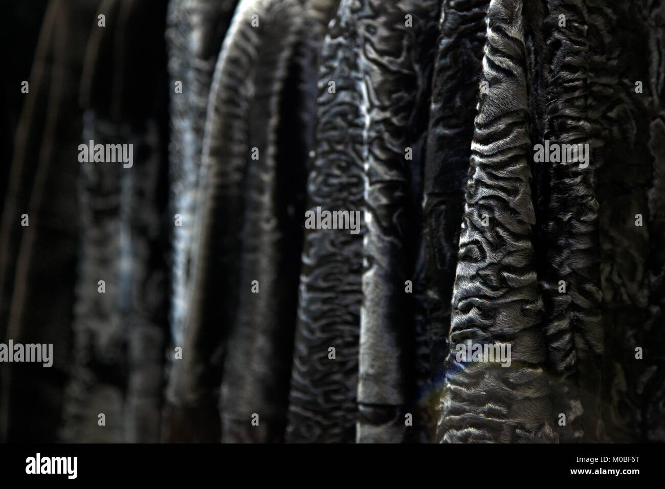 Astrakhan coat hi-res stock photography and images - Alamy