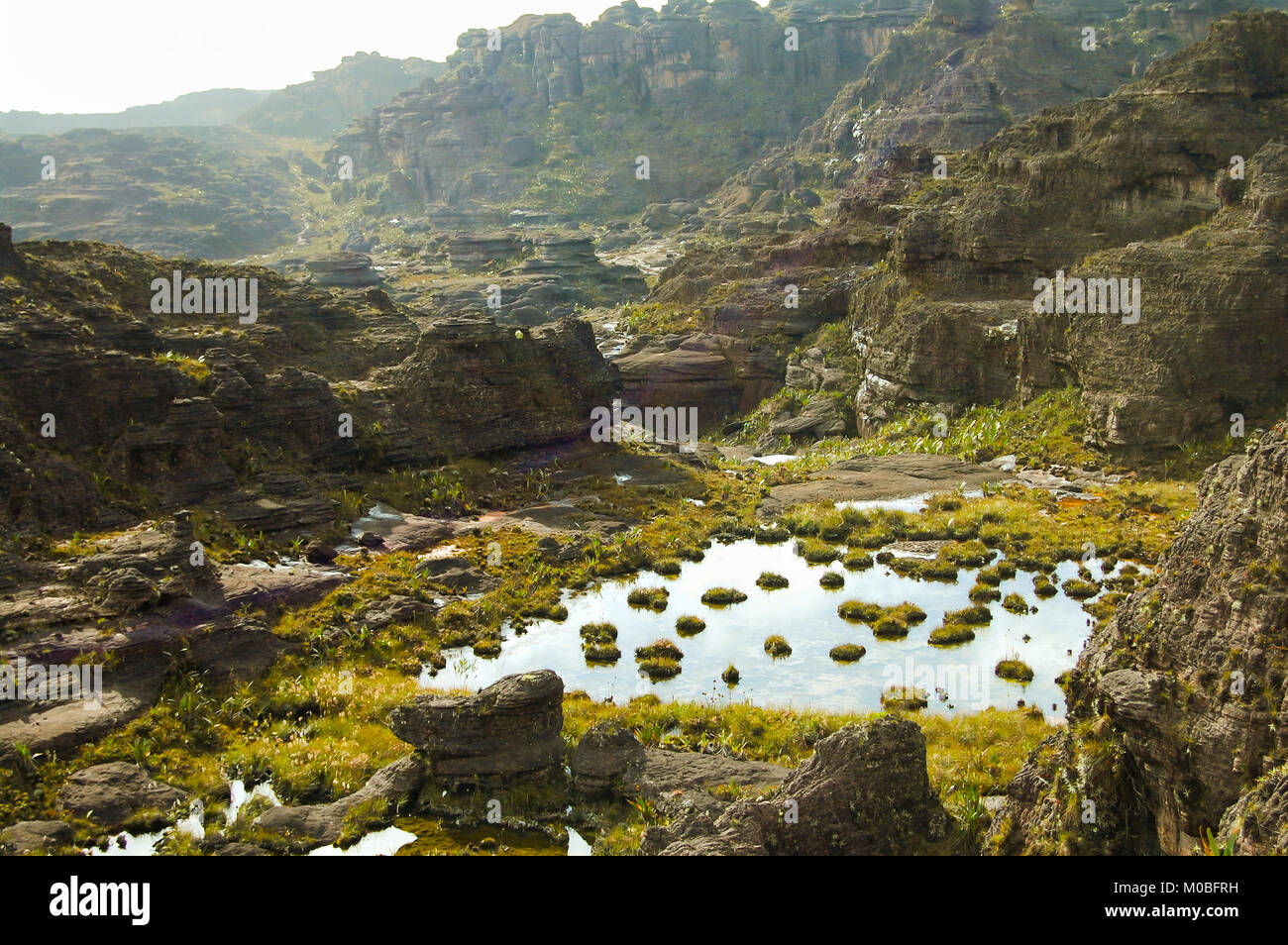 Mount Roraima - Venezuela Stock Photo - Alamy