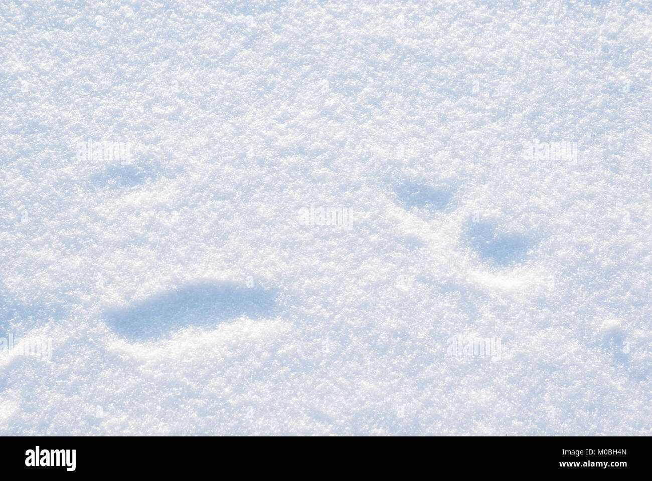 Footprints in the fresh snow Stock Photo - Alamy