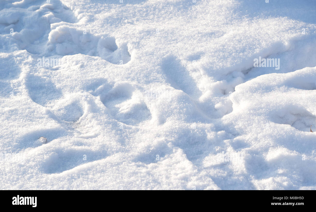Footprints in the fresh snow Stock Photo - Alamy