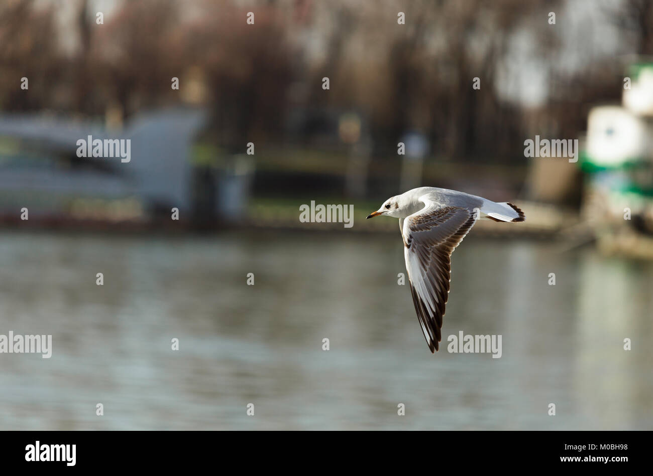 Flying river hi-res stock photography and images - Alamy