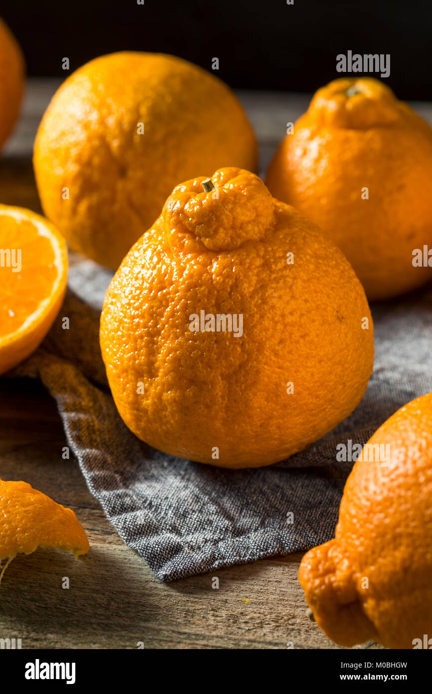 Sumos hi-res stock photography and images - Alamy