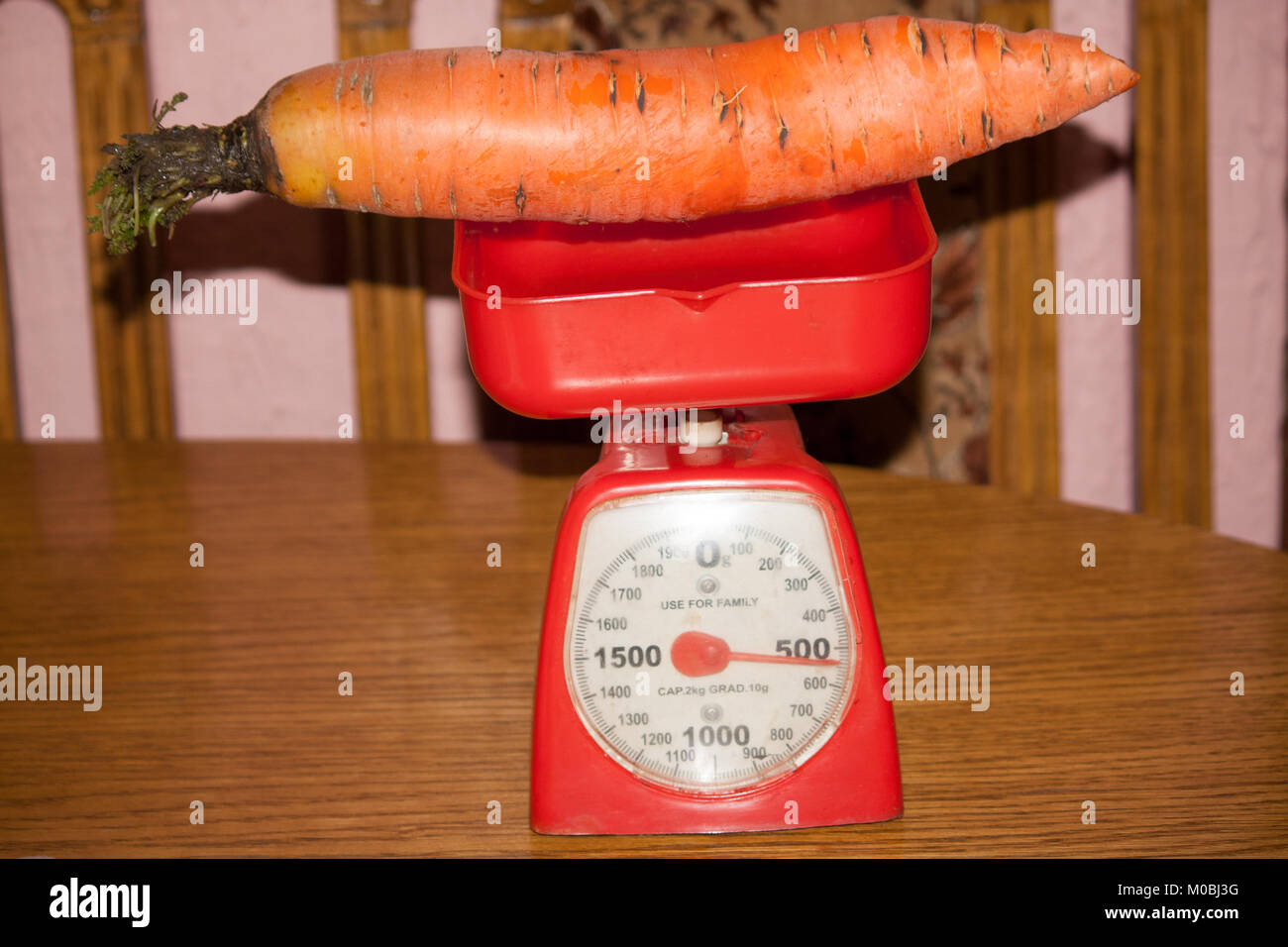 Big carrot hi-res stock photography and images - Alamy