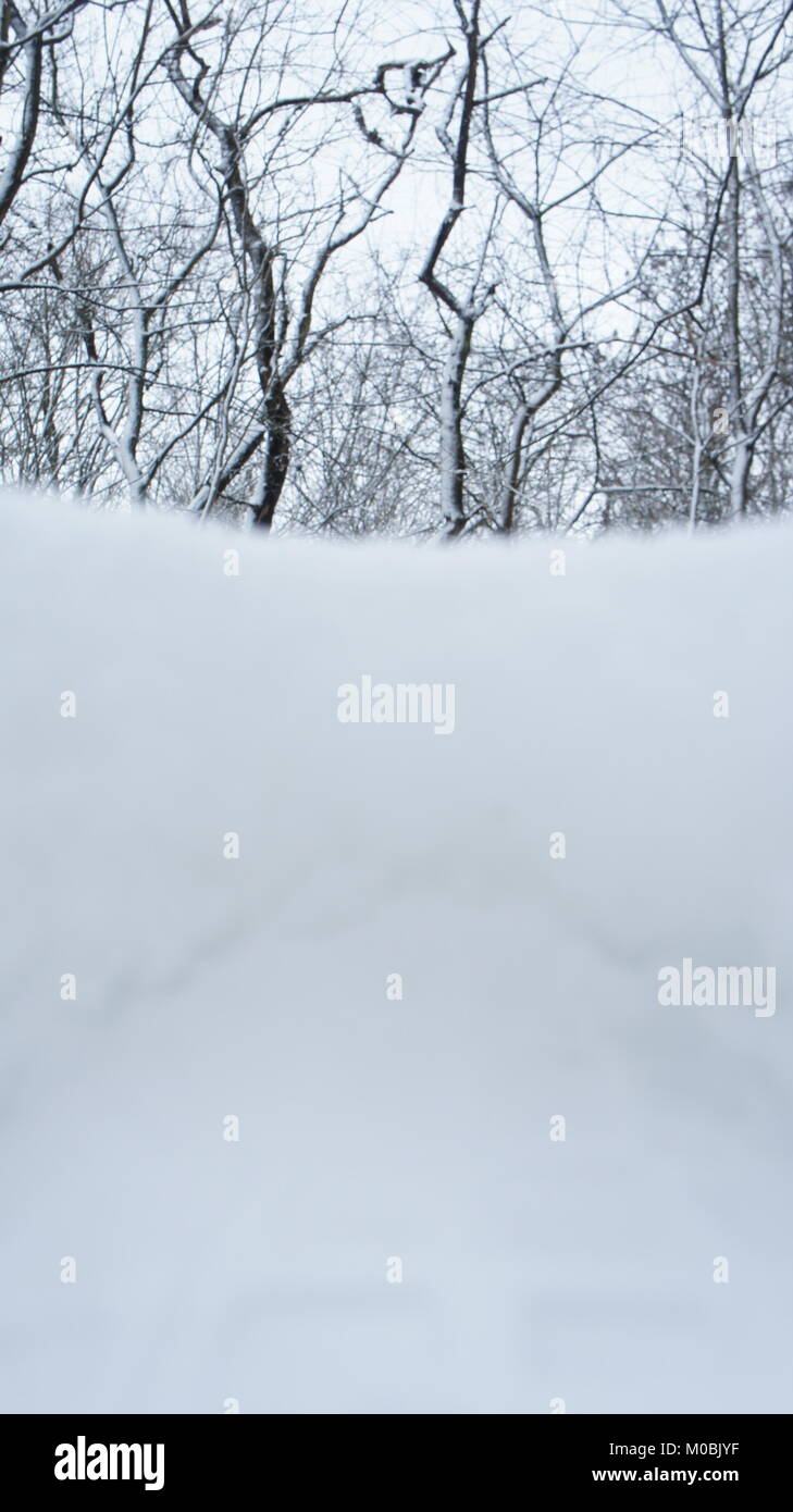 Frozen tree branch. snow on tree snow and branch texture background ...