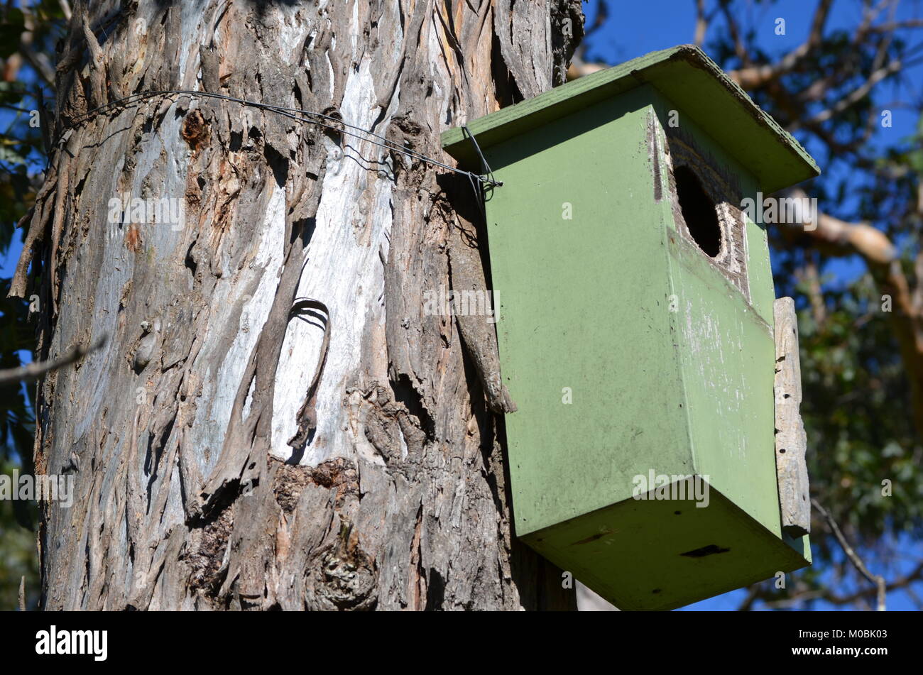 Wooden bird box Stock Photo - Alamy